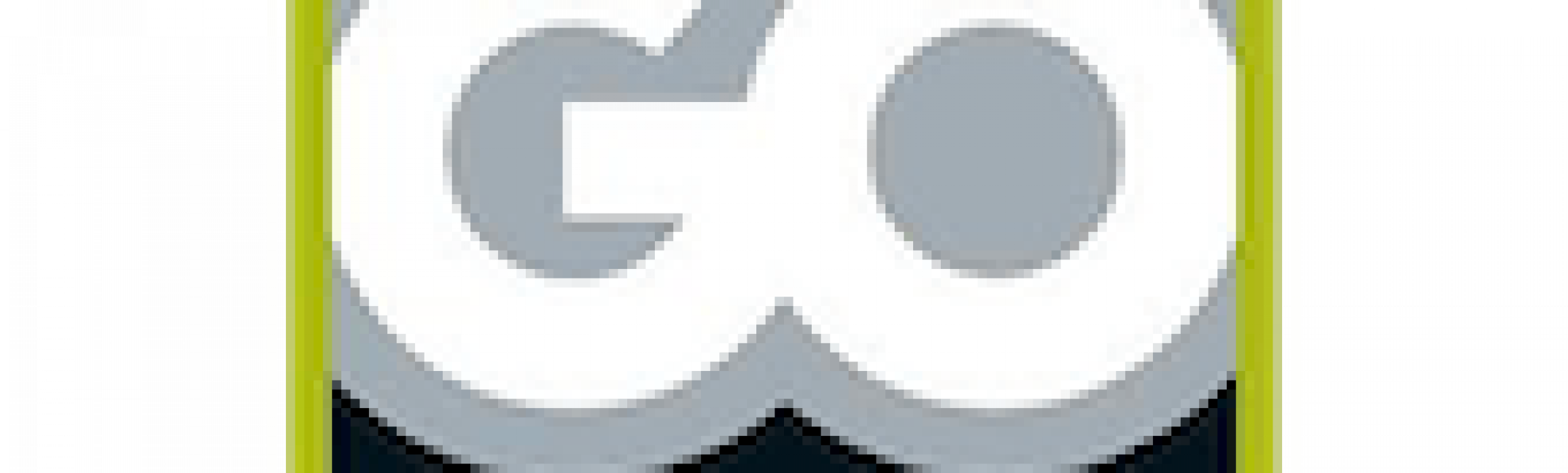 Go Sport | CAP Info
